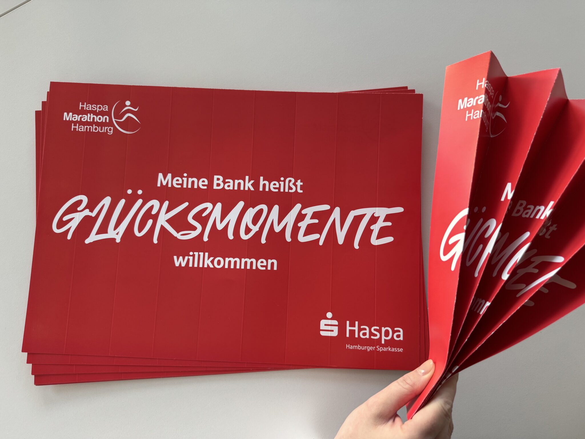 Der Haspa Marathon Hamburg : Das Sportevent der Superlative